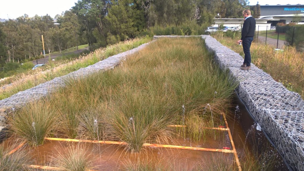 Sydney Olympic Park – Leachate Treatment Wetland and Irrigation - AWC ...